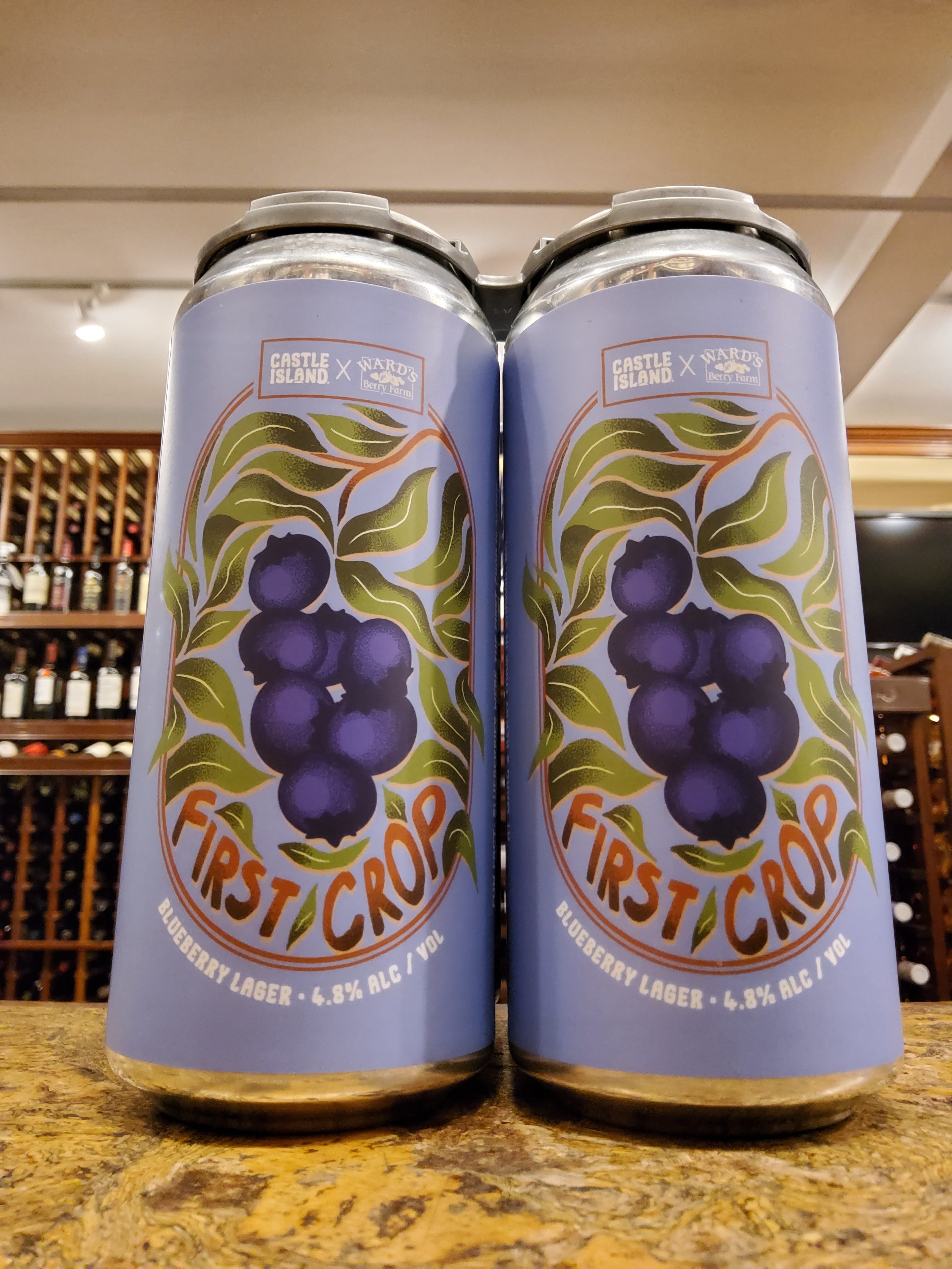 Castle Island First Crop Blueberry Lager 4pk – Boston Wine Exchange