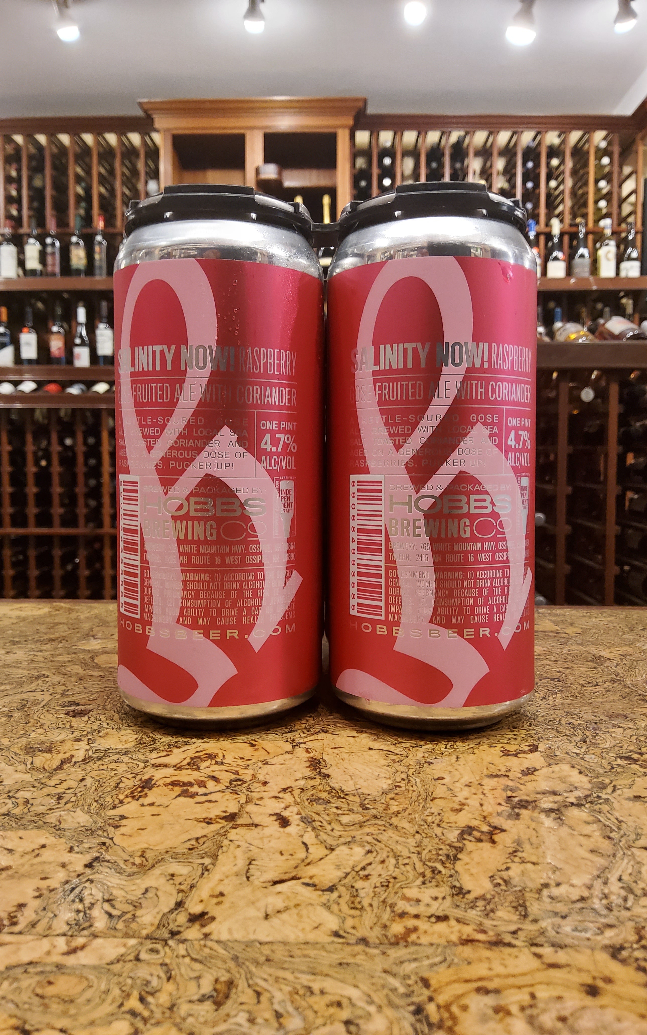 Hobbs Salinity Now! Raspberry Gose 4pk – Boston Wine Exchange