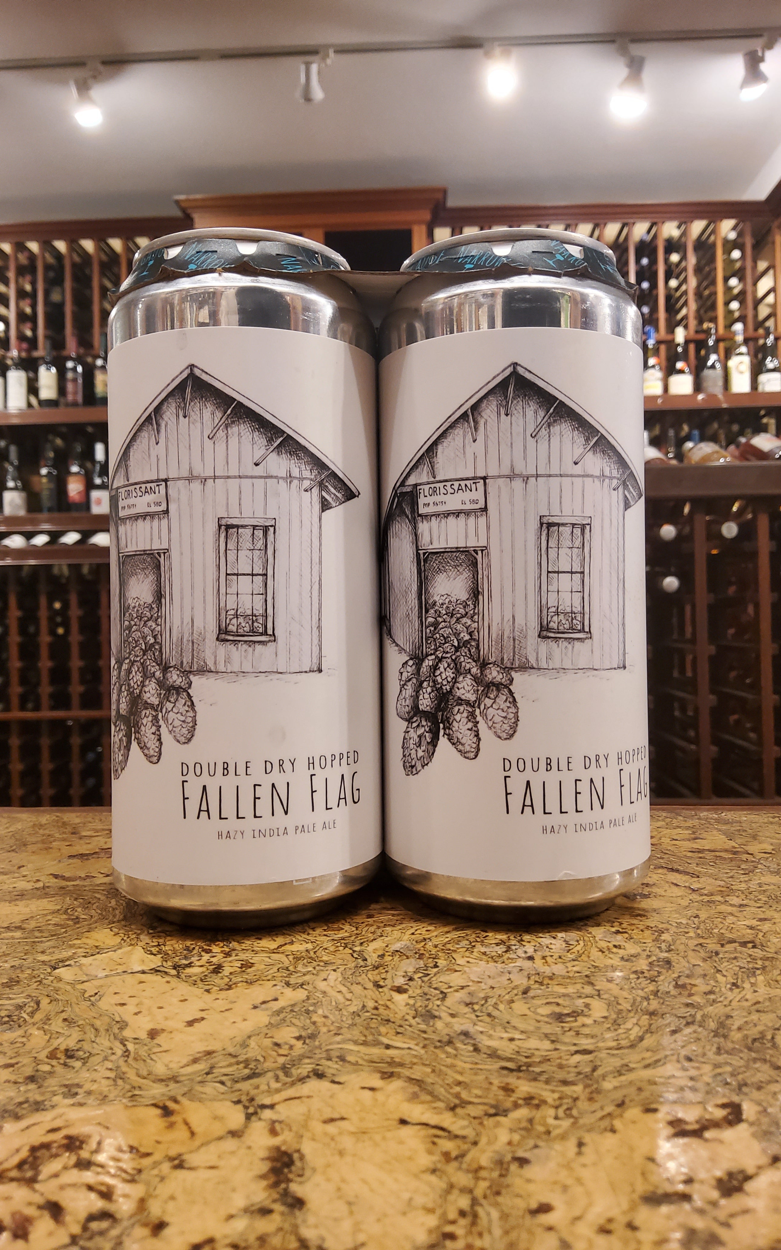 Narrow Gauge Fallen Flag IPA 4pk – Boston Wine Exchange